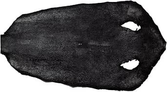 Amazon.com: Stingray Skin, Exotic Leather : Arts, Crafts & Sewing