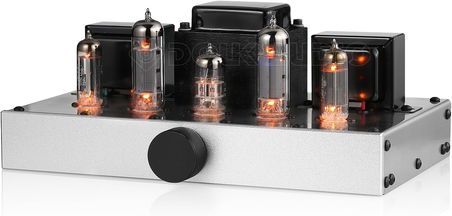 Amazon.com: HiFi Tube Amplifier Kit EL84 Stereo Single-Ended DIY Power ...