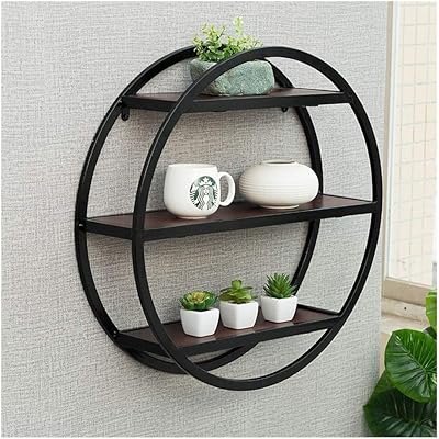 Admired By Nature, 23" Mounted Iron Circle Hanging Storage Shelving ...