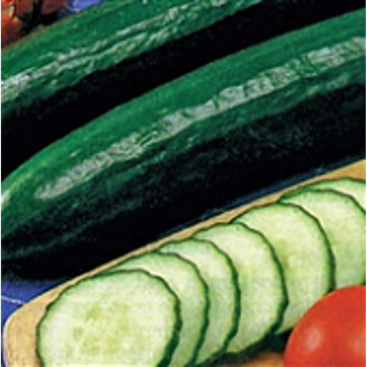 Amazon.com : Sweet Slice Cucumbers Seeds (25 Seed Pack) Seeds for ...