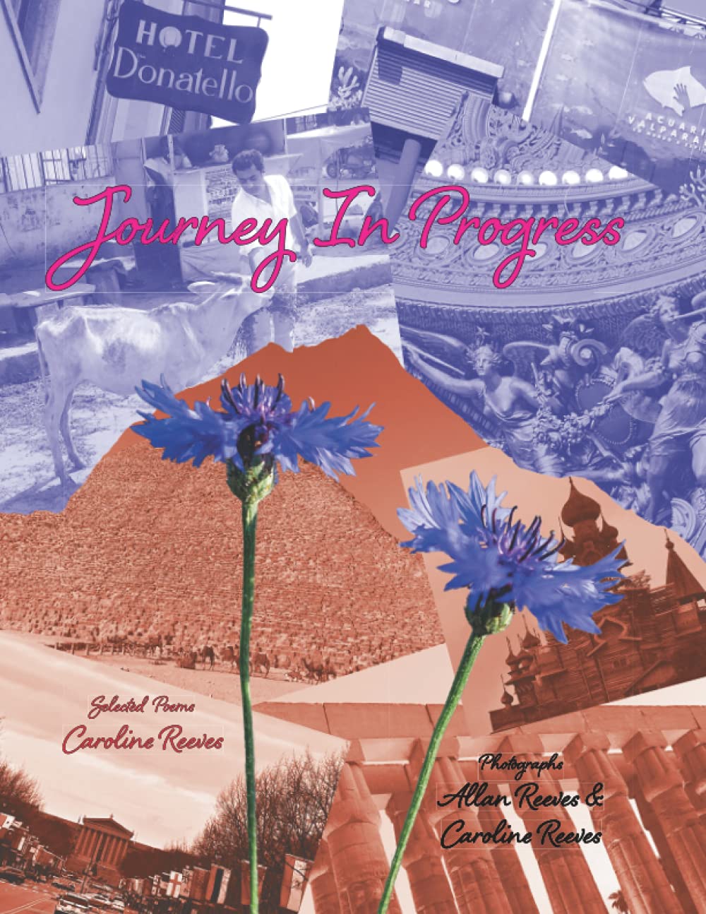 Journey In Progress: Reeves, Caroline, Reeves, Allan: 9781952485282 ...