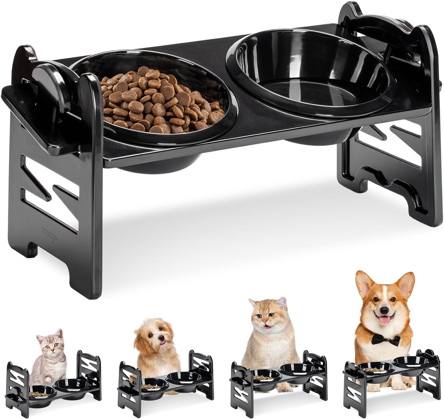 Amazon.com: Elevated Dog Bowls, 15 Tilted Raised Food Bowl, 6 in 1 ...