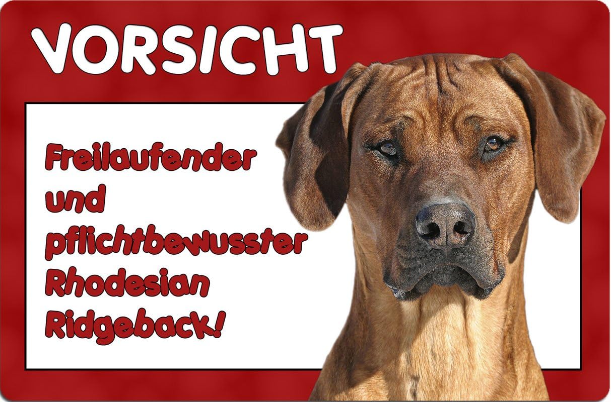 Nanyuk +++ Rhodesian Ridgeback - Metall Warnschild Schild Hundeschild ...