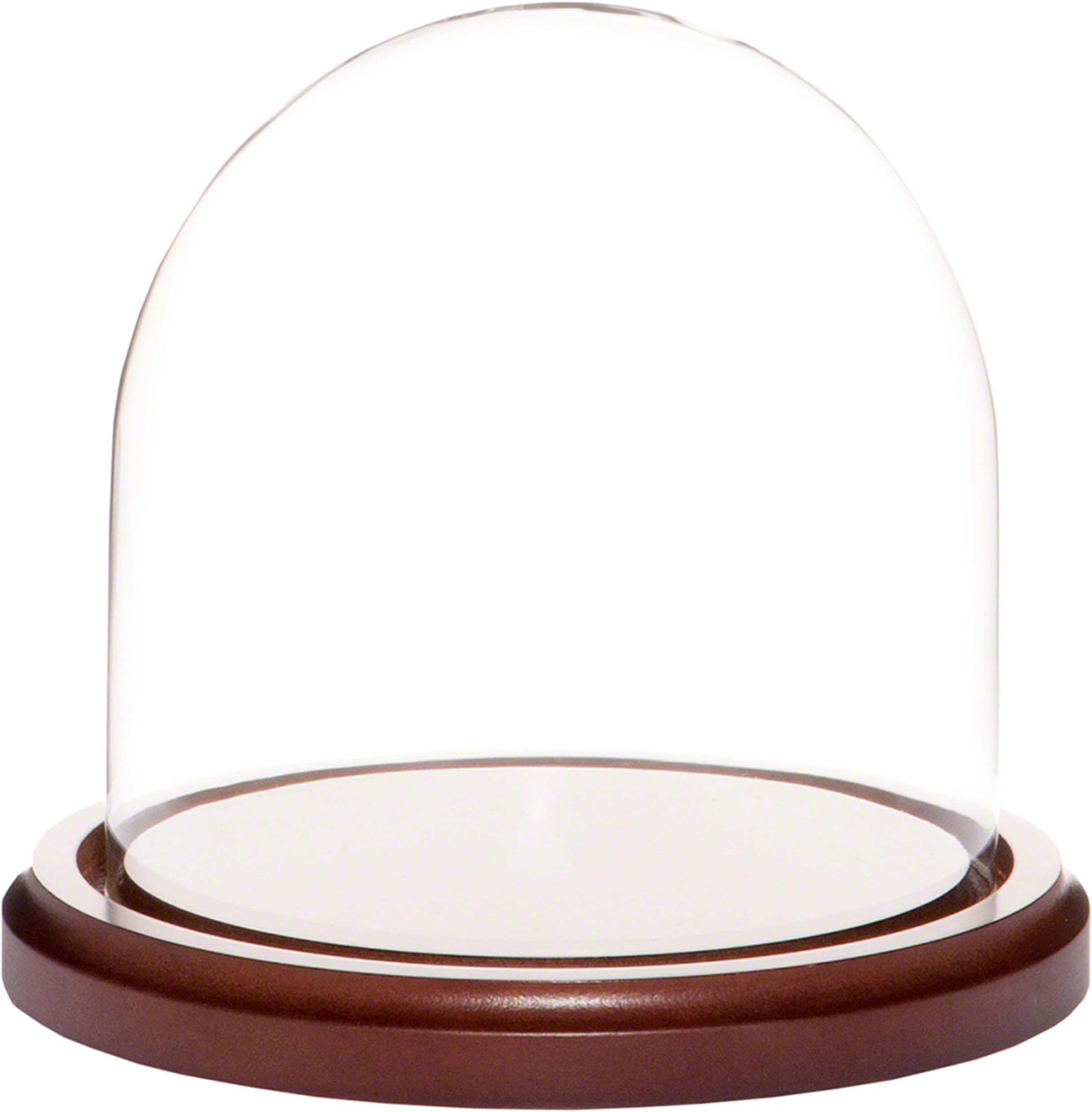 Amazon.com: Glass Doll Dome with no Base - 4.5" x 8" : Home & Kitchen