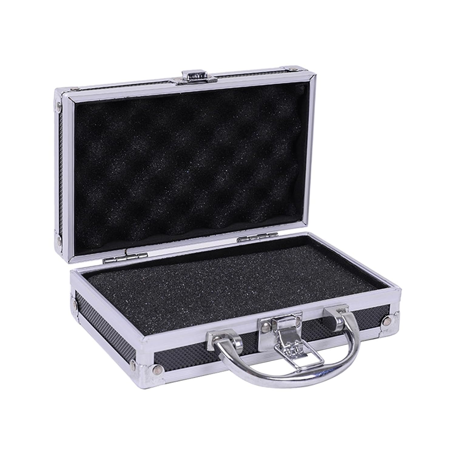 SECRET DESIRE Microphone Carry Case Shockproof Mic Storage Box for ...