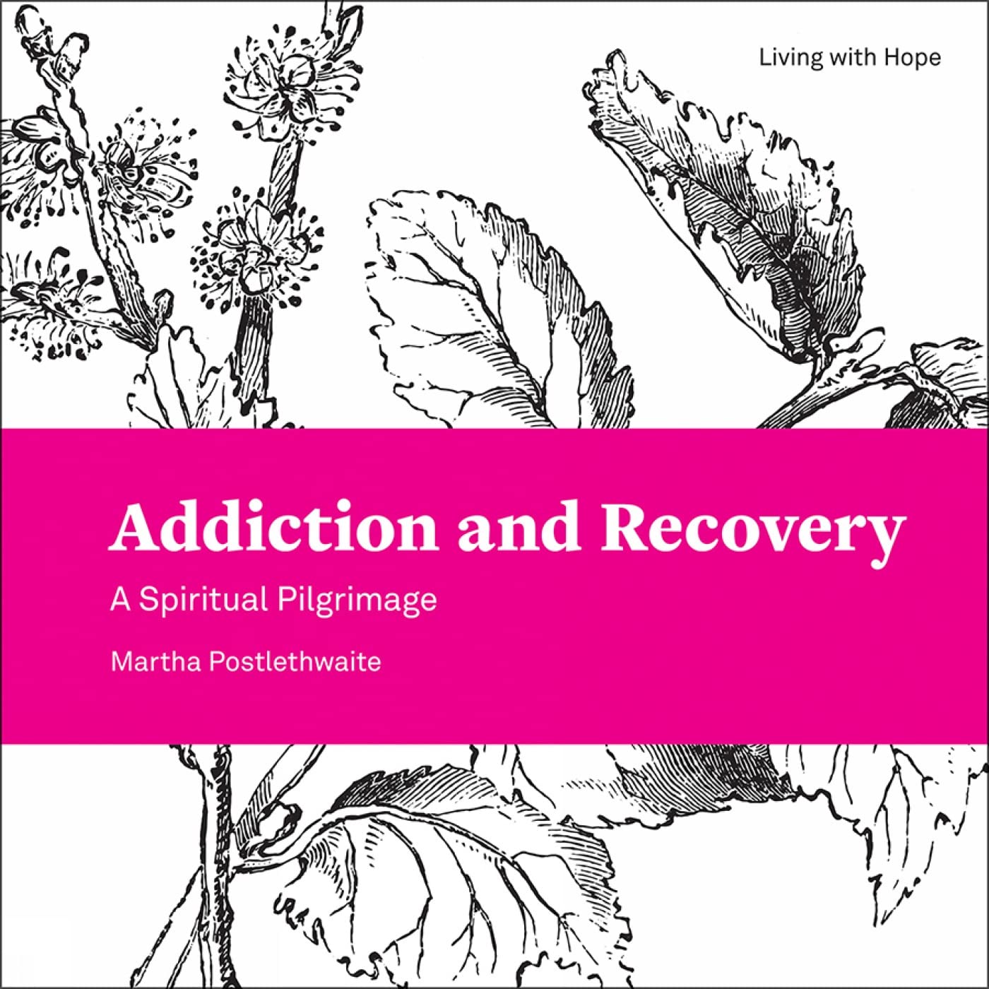 Addiction and Recovery: A Spiritual Pilgrimage: 9 (Living With Hope ...