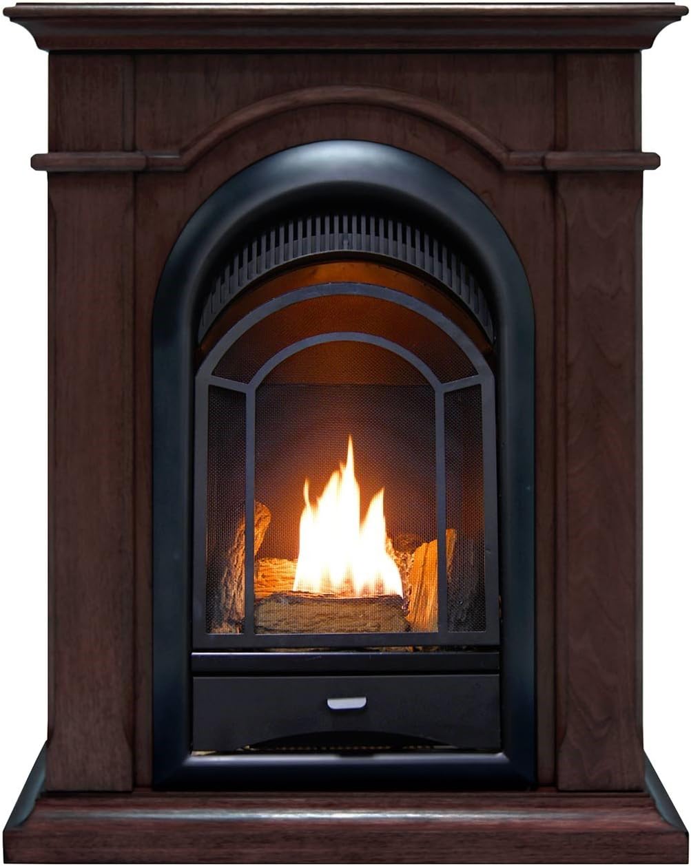Amazon.com: ProCom Dual Fuel Ventless Gas Firebox Insert with Mantle ...