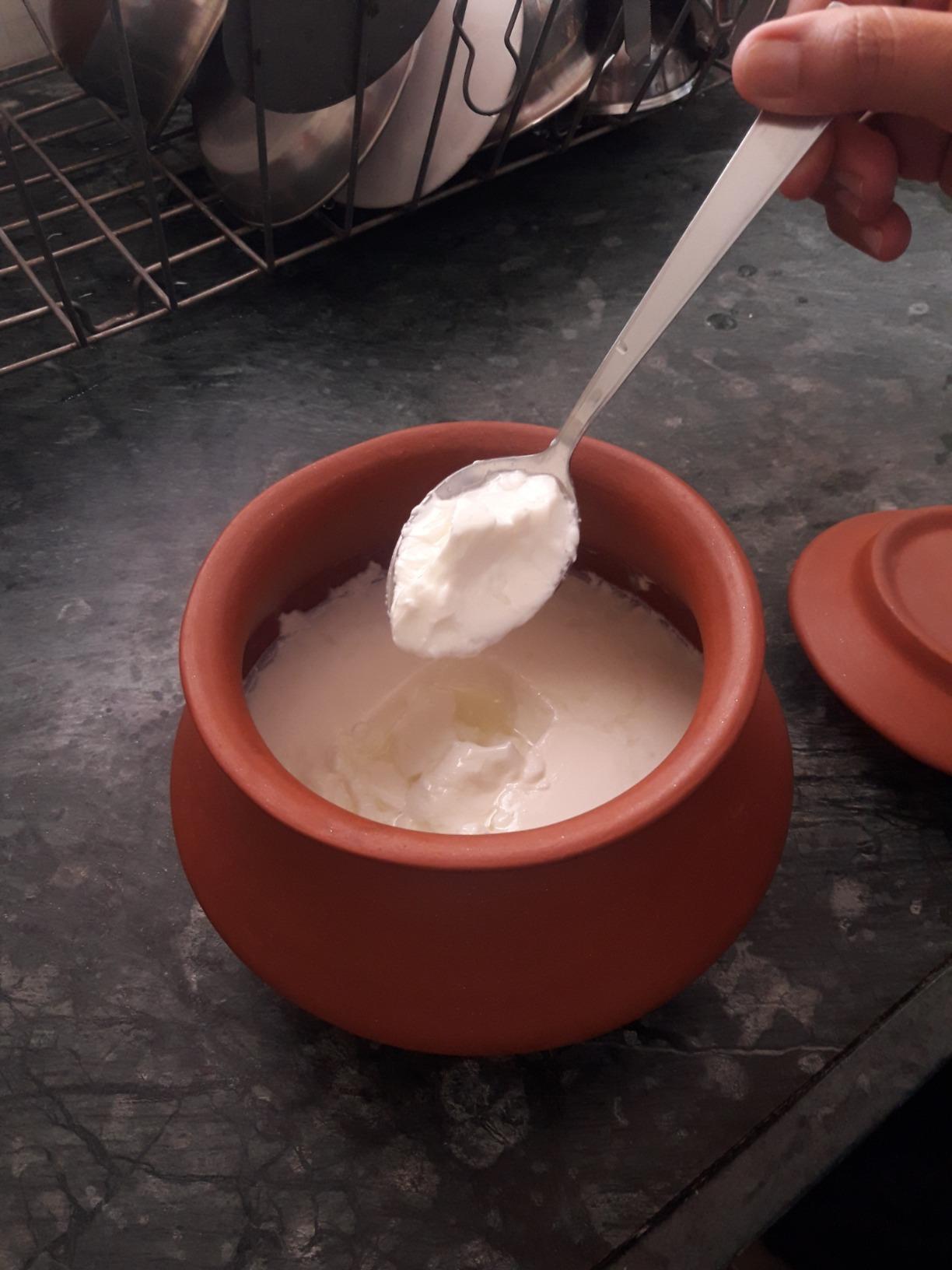 Buy Vaghbhatt Clay Dahi Handi,Clay Curd Pot Dahi Handi Biryani Handi ...