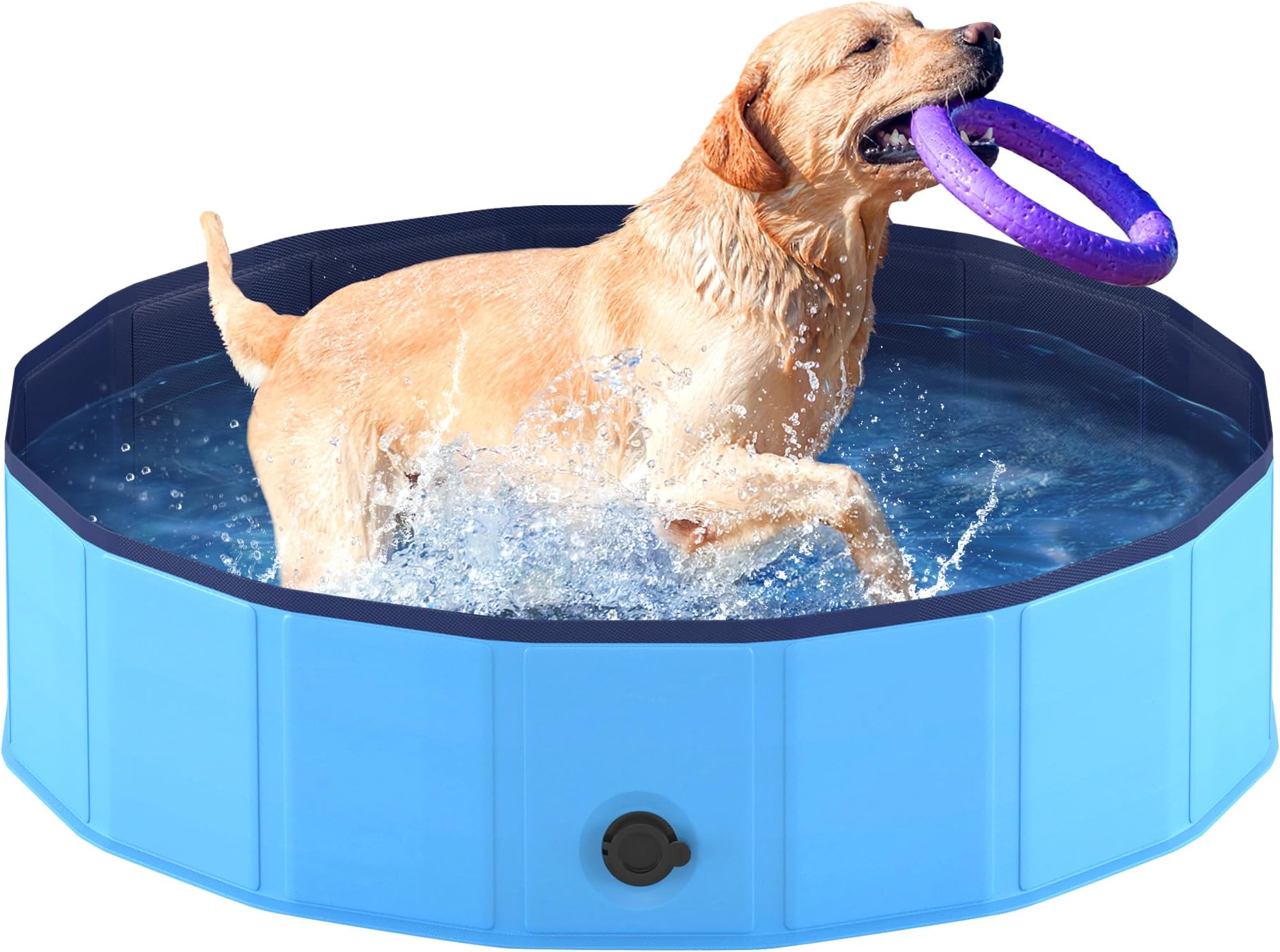Amazon.com: Foldable Dog Pet Pool Small Portable PVC Swimming Pool 24 x ...