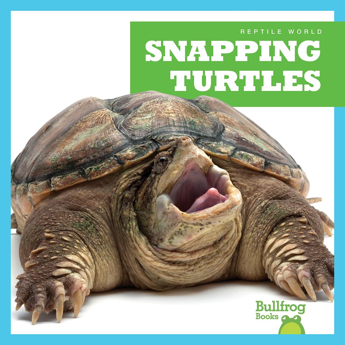 Amazon.com: Snapping Turtles (Bullfrog Books: Reptile World ...
