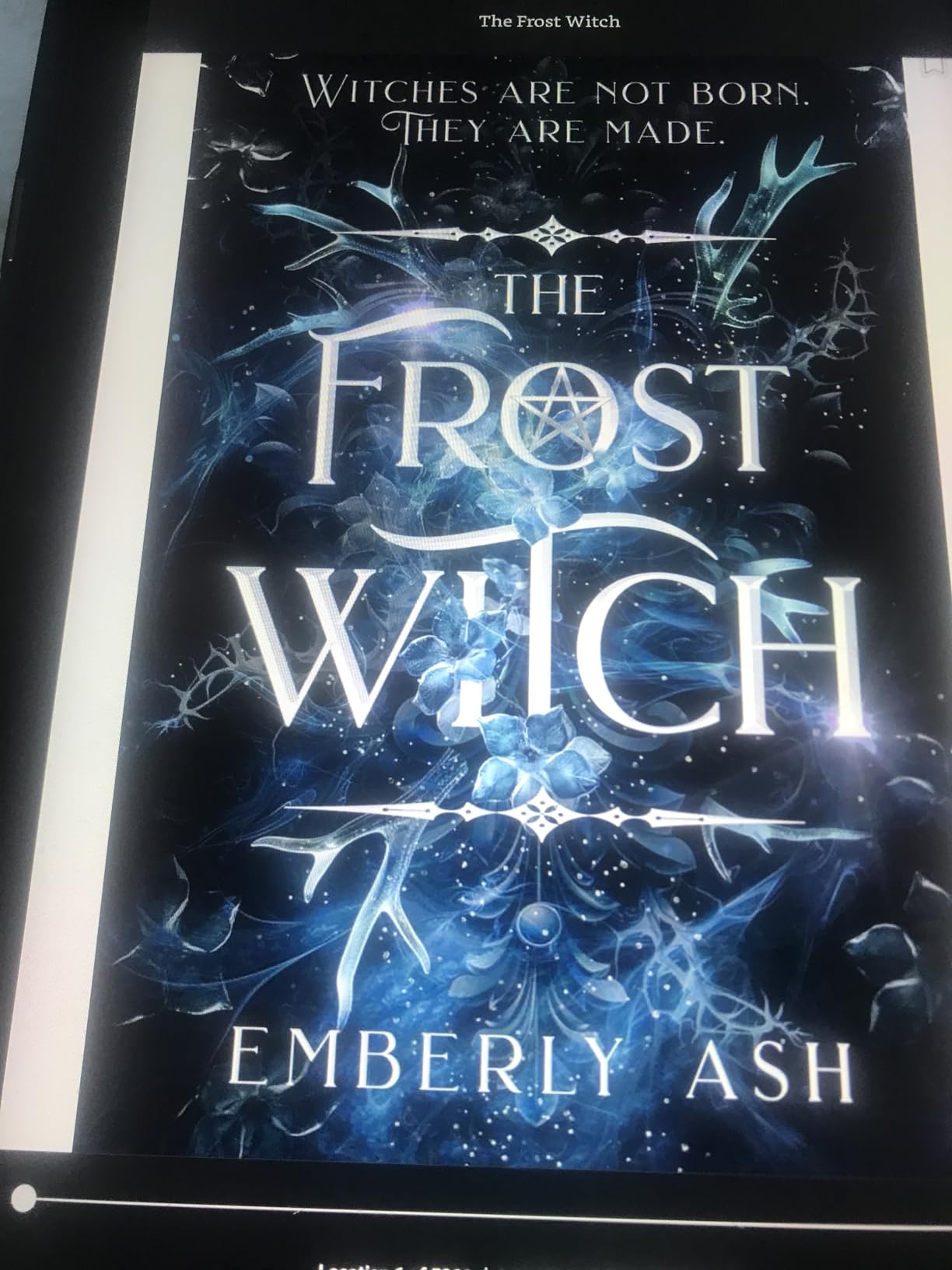 The Frost Witch: A Dark Romantasy (The Covenants of Velora Book 1 ...