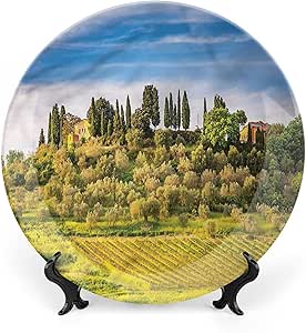 Amazon.com | XISUNYA 10 Inch Decorative Plate, Tuscan Tableware Plate ...