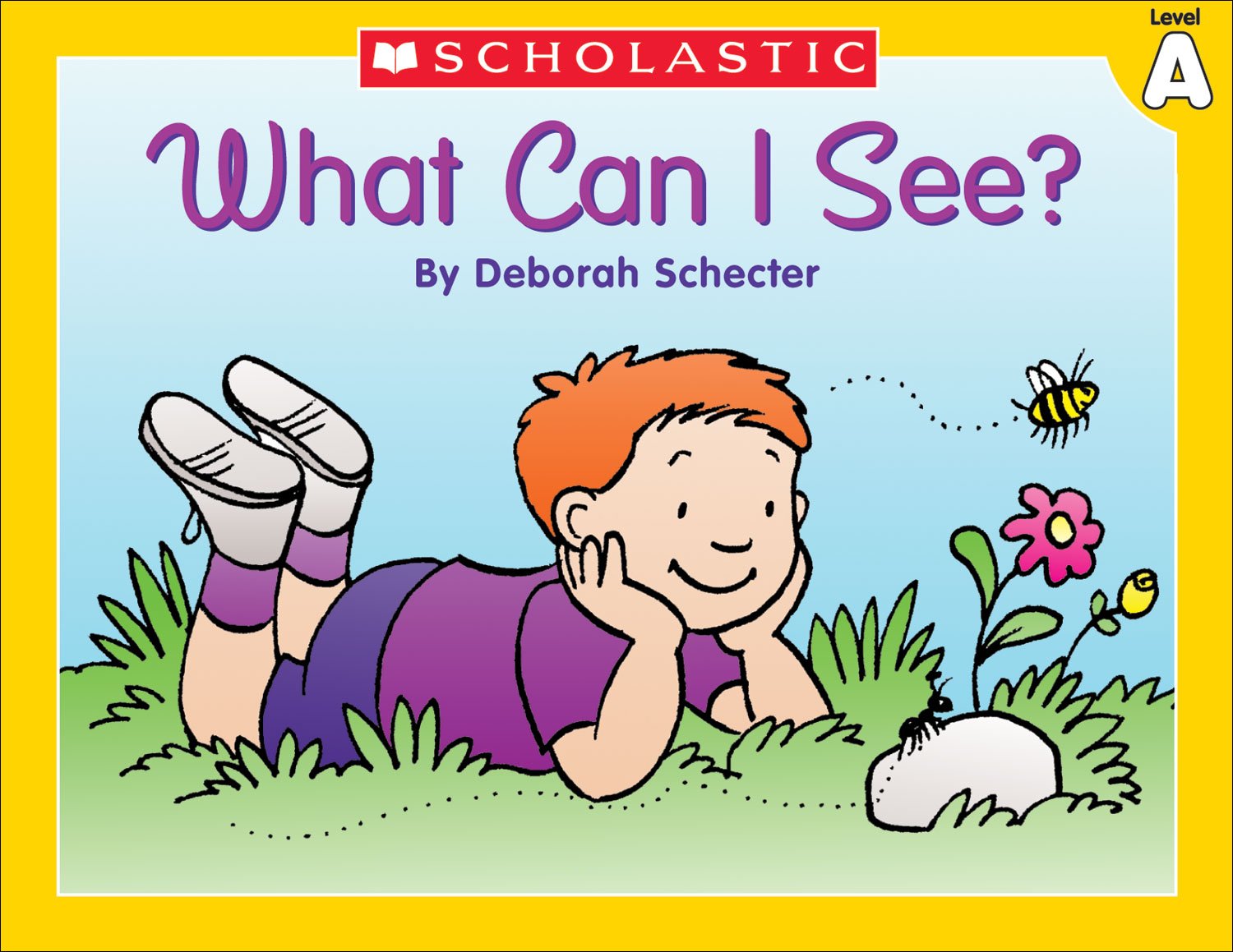 Little Leveled Readers: What Can I See? (Level A) (Little Leveled ...