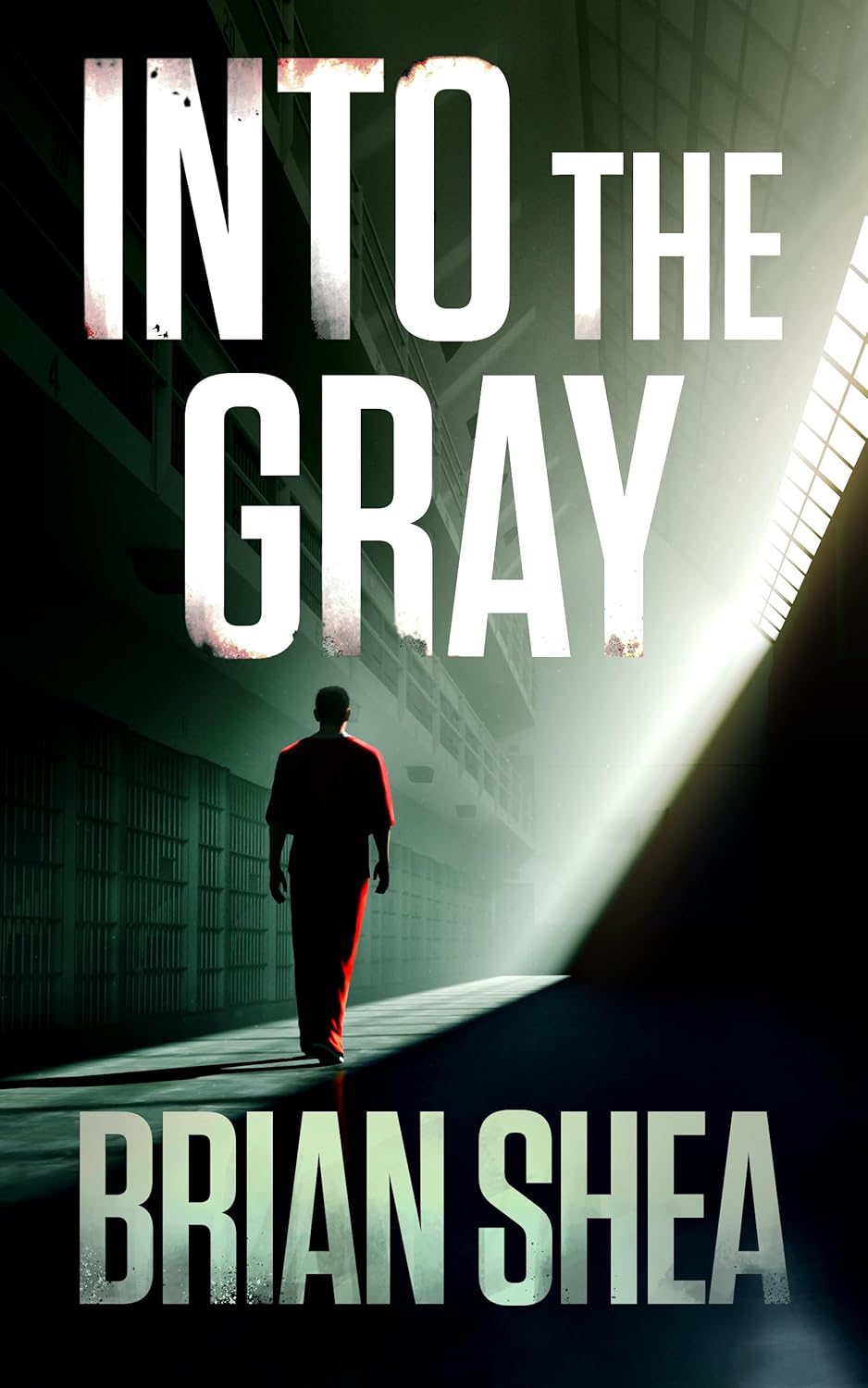Into the Gray (Boston Crime Thriller Book 6) - Kindle edition by Shea, Brian. Mystery, Thriller ...