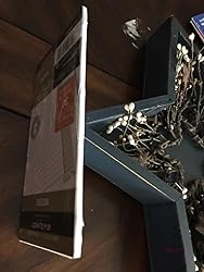 Amazon.com : AT-A-GLANCE Day Runner Lined NotePad Pages, Refill, Loose ...