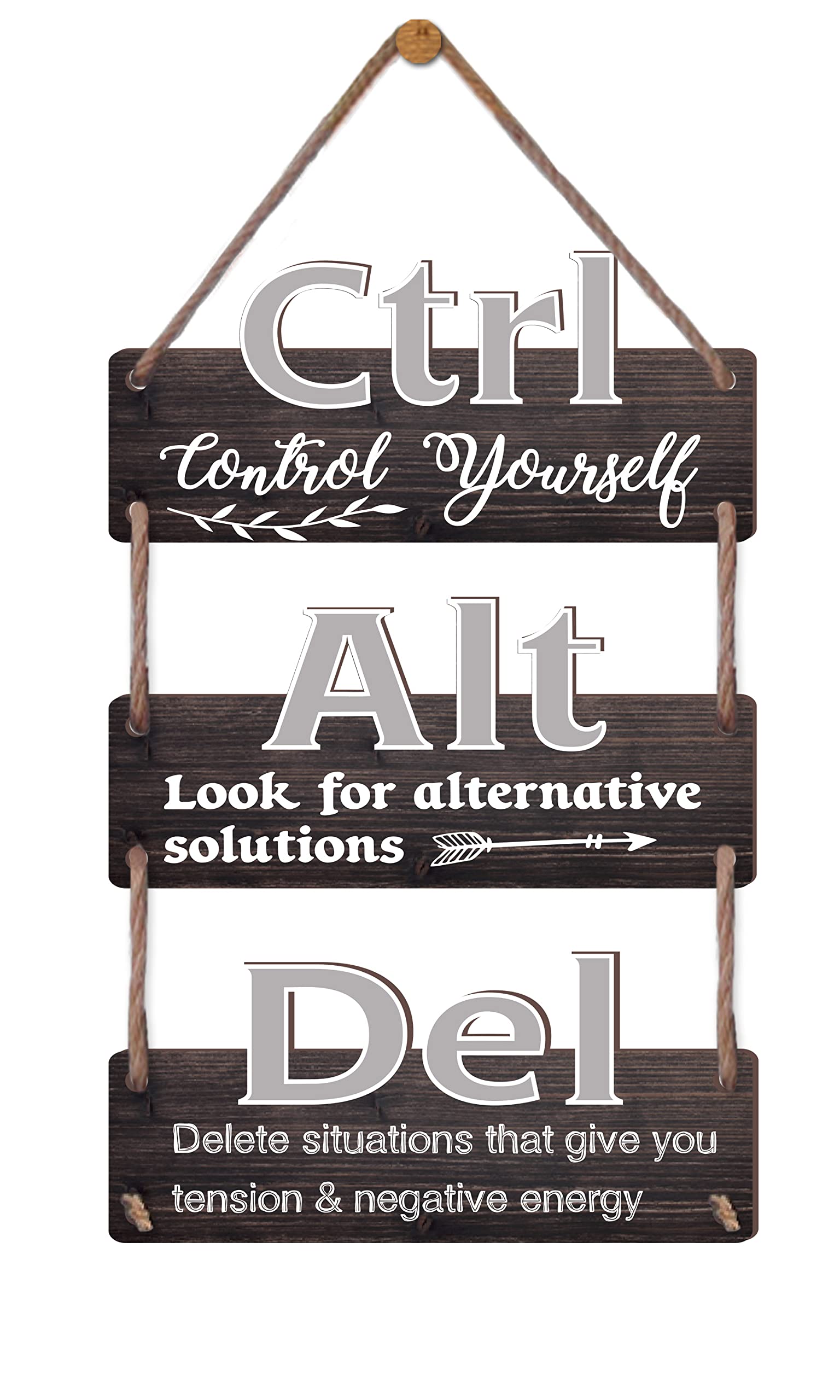 Amazon.com: EXQUIDECA Ctrl Alt Del Motivational Wall Hanging Sign 3pcs ...