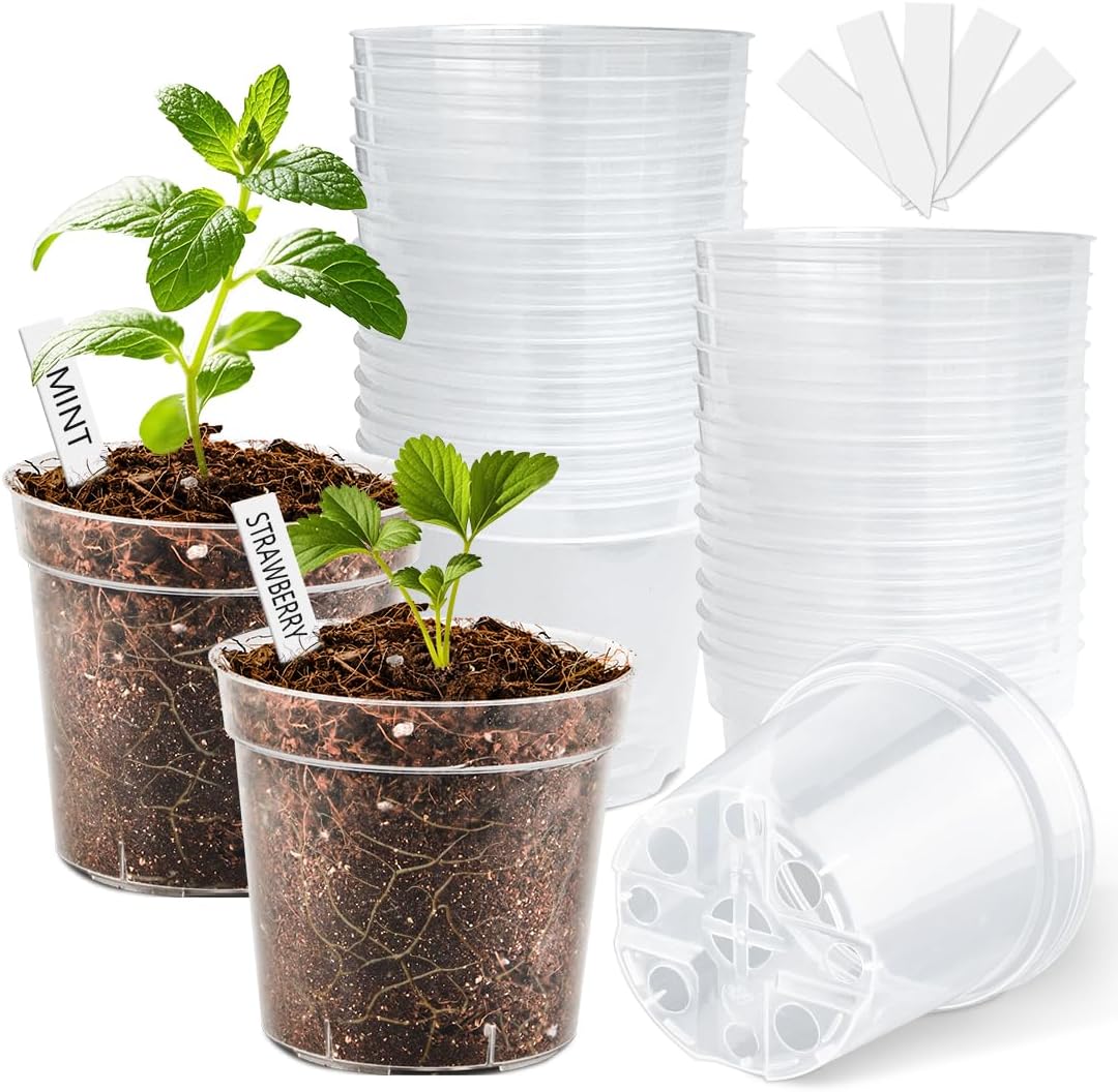 Amazon.com: 4 Inch Clear Nursery Pots for Plants, Plastic Plant Pot ...