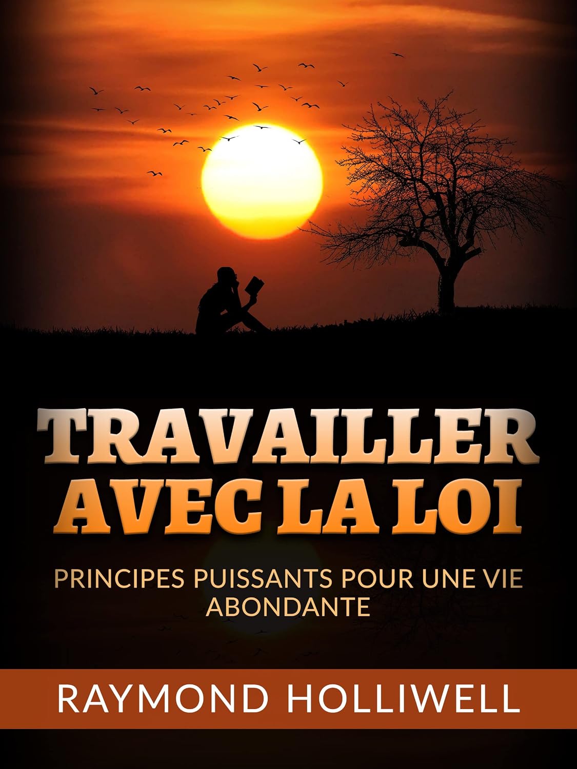 Amazon.com: Travailler avec la Loi (Traduit): Des principes puissants ...