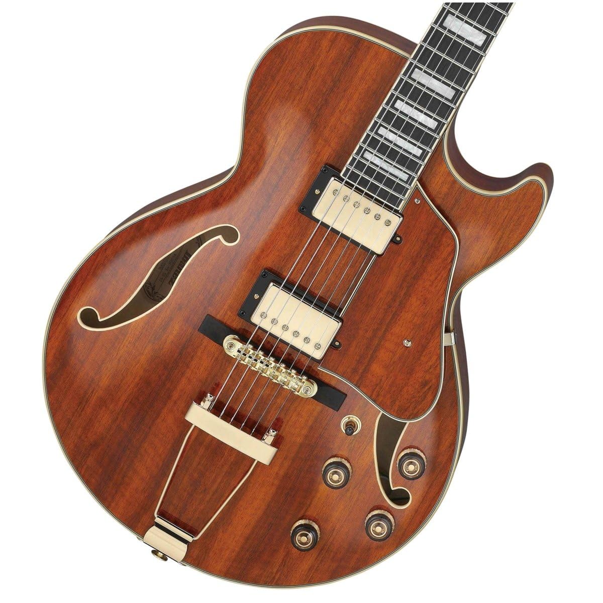 Amazon.com: Ibanez Artcore Expressionist AG95K Hollowbody Electric ...