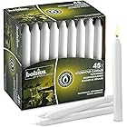 Amazon.com: BOLSIUS Ivory Candlesticks - Bulk Case of 3 Packs = Total ...