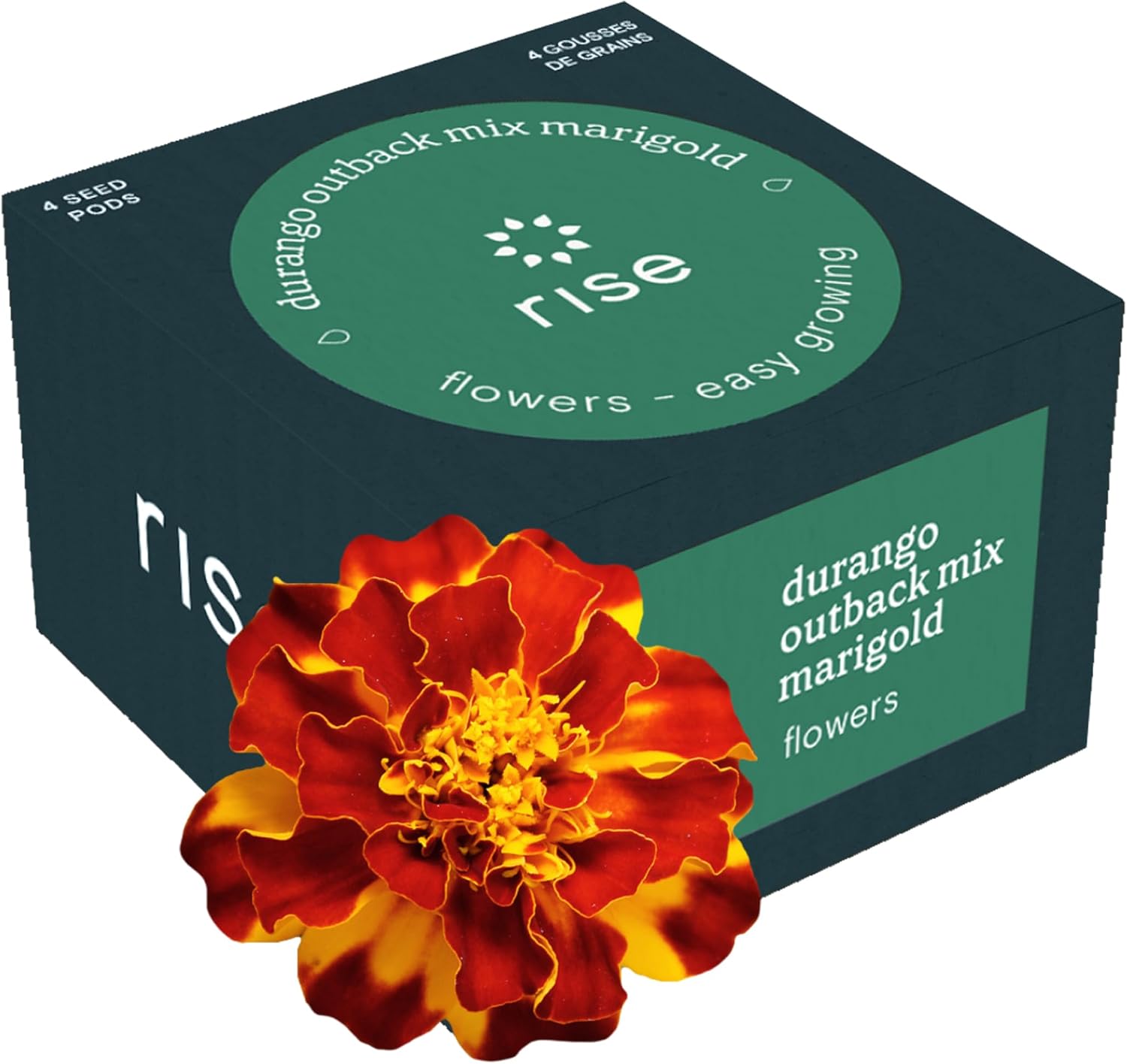 Amazon.com : Rise Gardens Marigold Durango Outback Mix Pod Kit, Edible ...