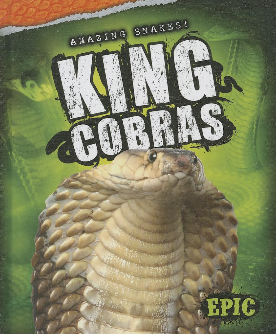 King Cobras (Amazing Snakes!): Sweazey, Davy: 9781626170940: Amazon.com ...