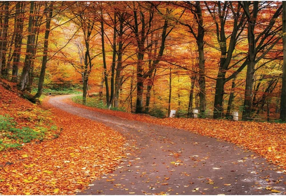 Amazon.com : Laeacco Autumn Forest Backdrop 10x8FT Fall Landscape ...