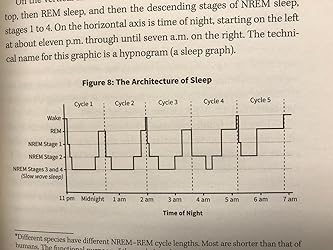 Why We Sleep: The New Science of Sleep and Dreams : Walker, Matthew ...