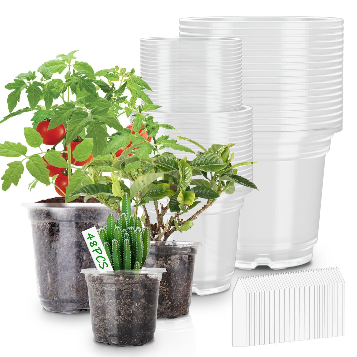 Amazon.com: PEYOU 48 Packs 5/4/3.5 Inch Reinforced Clear Nursery Pots ...