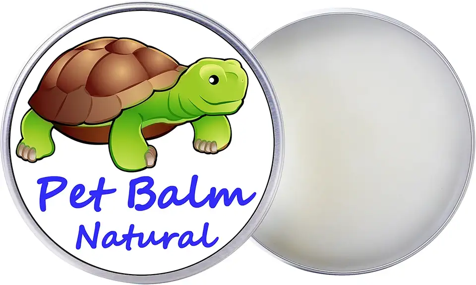 Understanding How Lizards Shed Their Skin: A Fascinating Natural ...