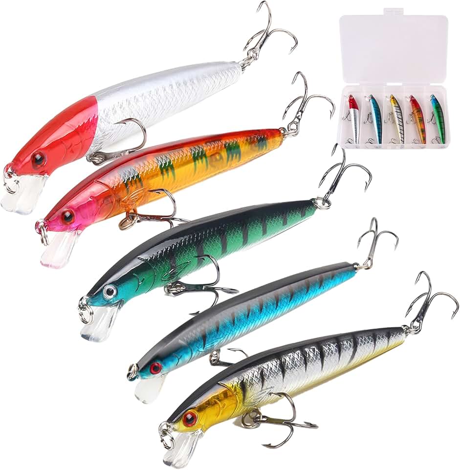 Amazon.com.mx: Curricanes