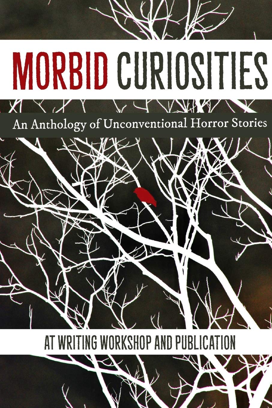 Morbid Curiosities: An Anthology of Unconventional Horror Stories ...