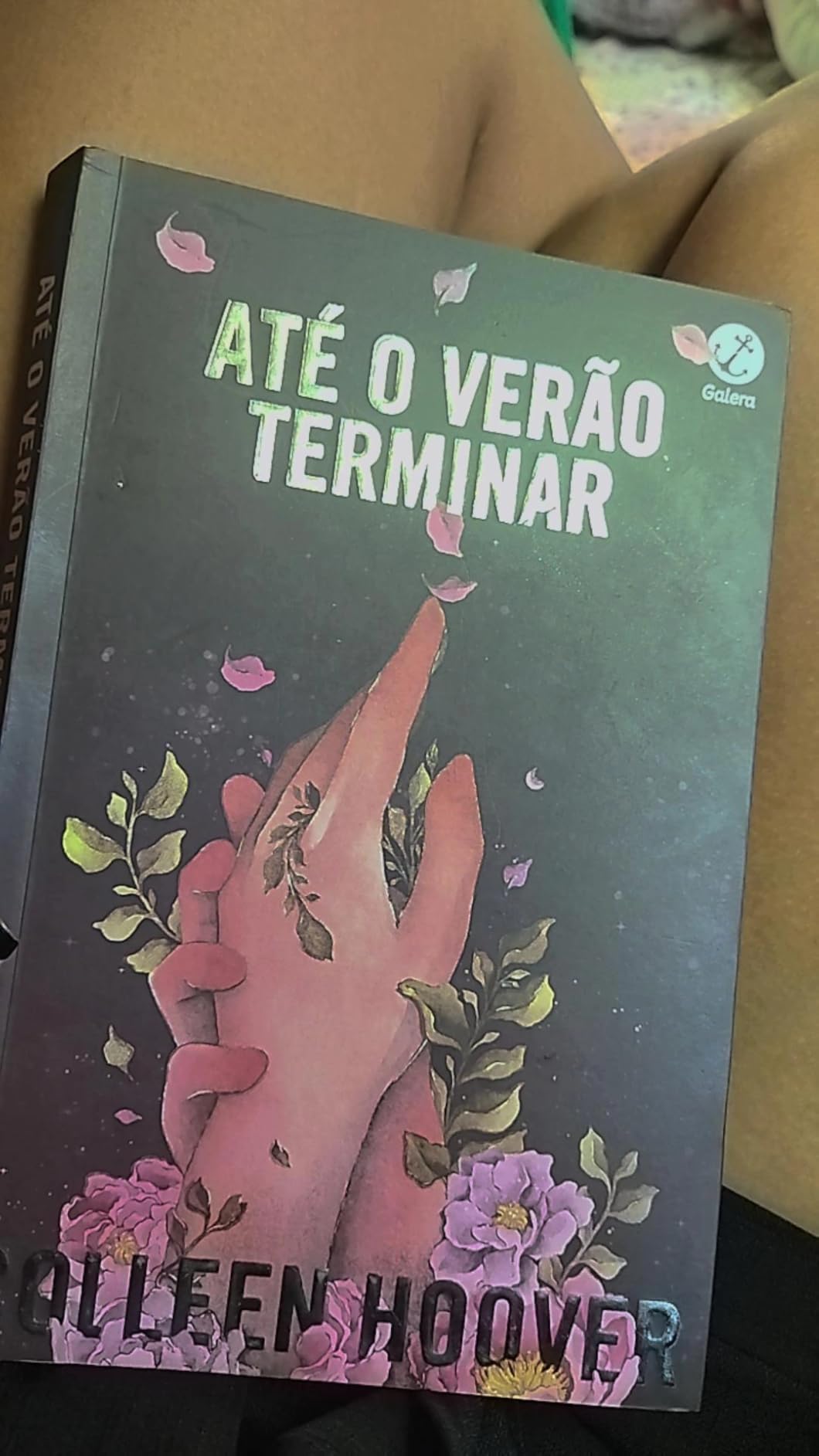 Livro Ate O Verao Terminar - RETOEDU
