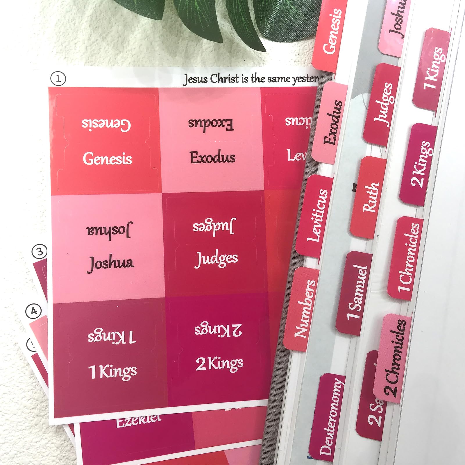 Snapklik.com : Bible Tabs, Large Print Laminated Bible Tabs For Women ...