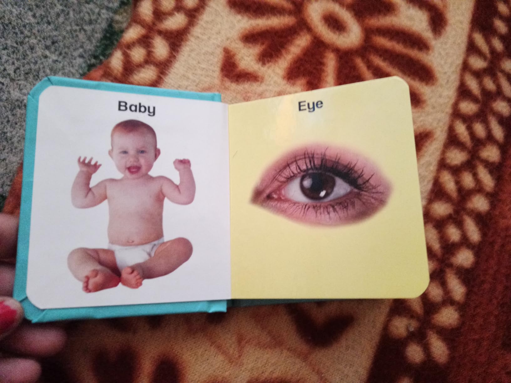 My Body Padded Board Book for Children Age 0-2 Years- Early Learning ...