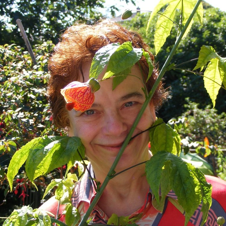 Amazon.com: Susan R. Matthews: books, biography, latest update