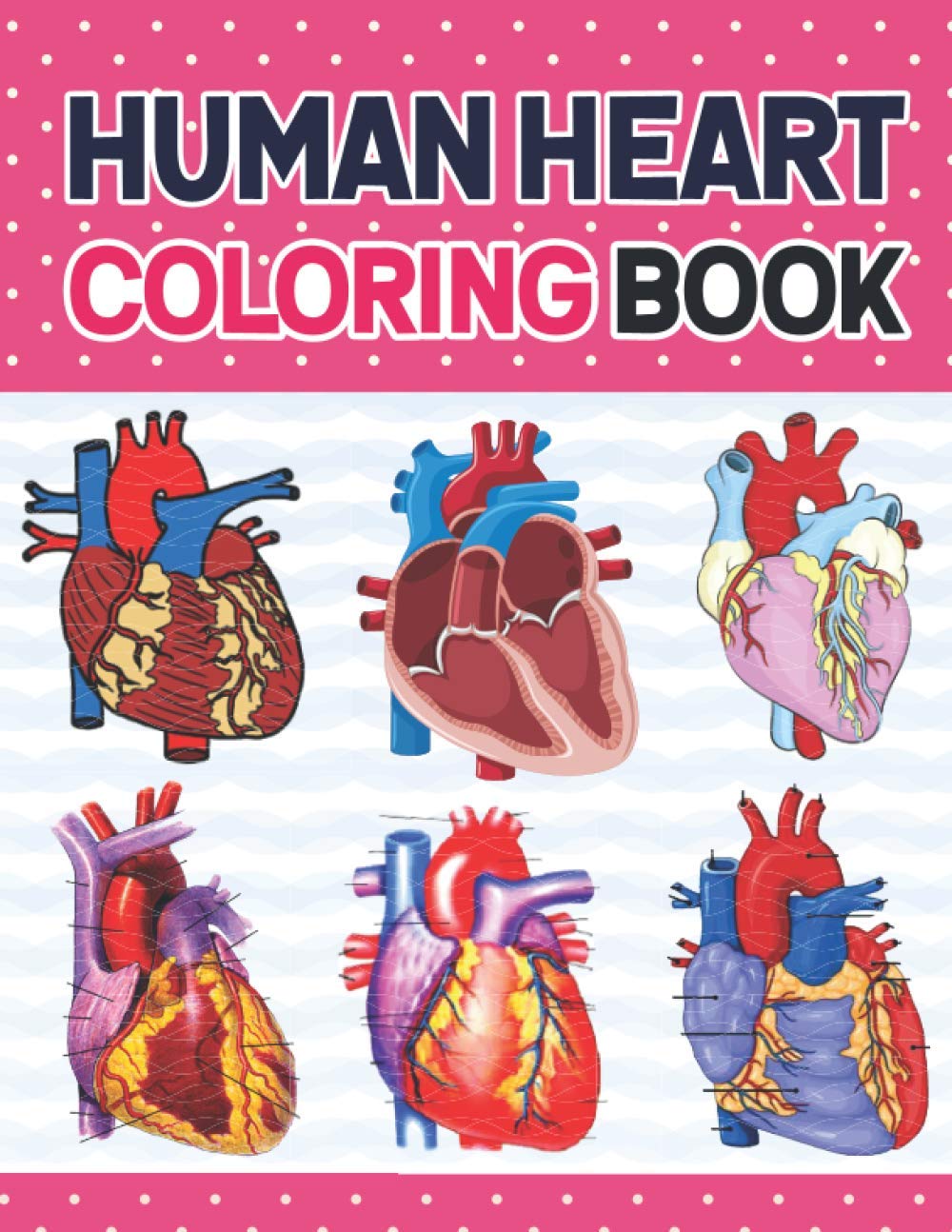 Human Heart Coloring Pages For Kids