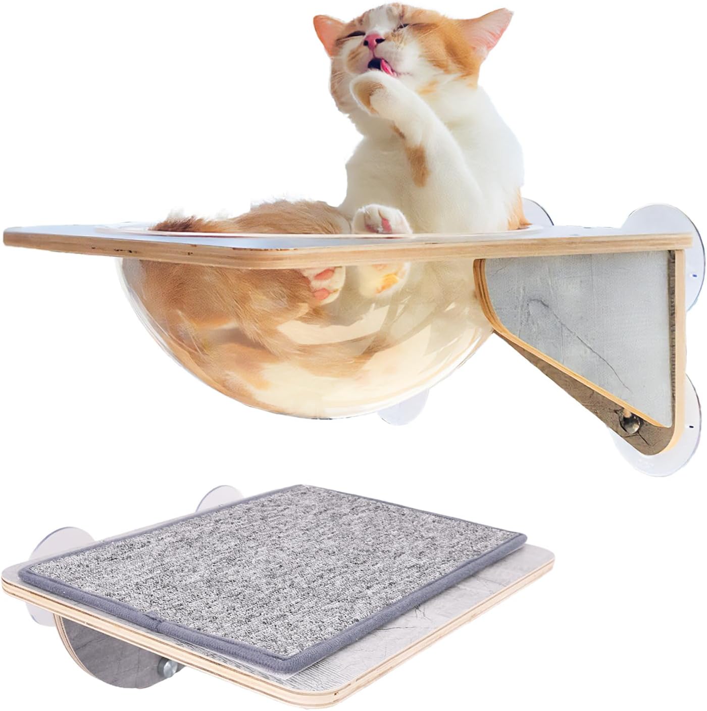 Amazon.co.jp: [Rocotto] 猫 窓用ハンモック にゃんこステーション 耐荷重30kg 吸盤式 強力 透明 ペットベッド 猫用品 猫窓ベッド キャットステップ 日光浴 取付 ...