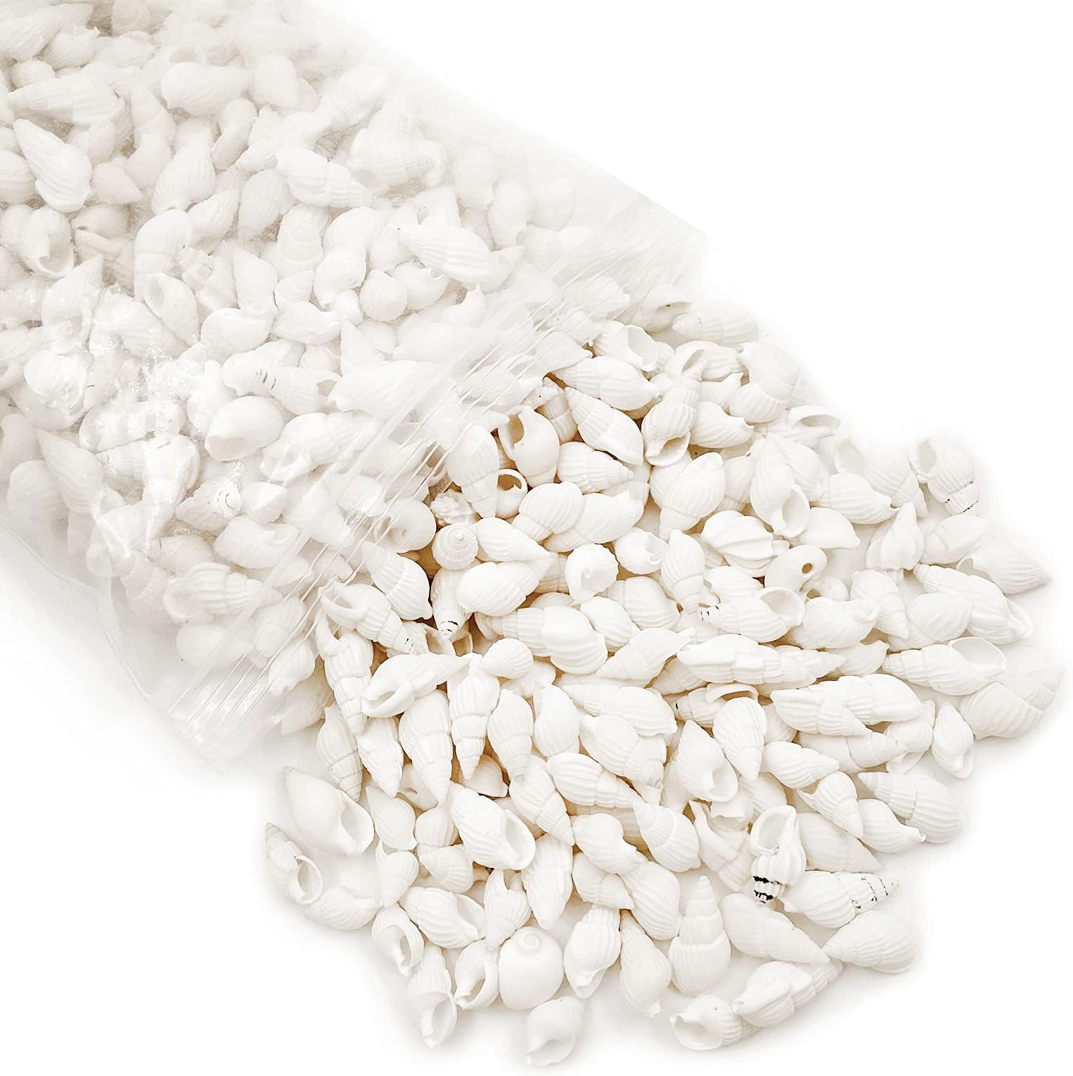 Amazon.com: WeDoSoy Natural Tiny Sea Shells Small White Clam Shells for ...