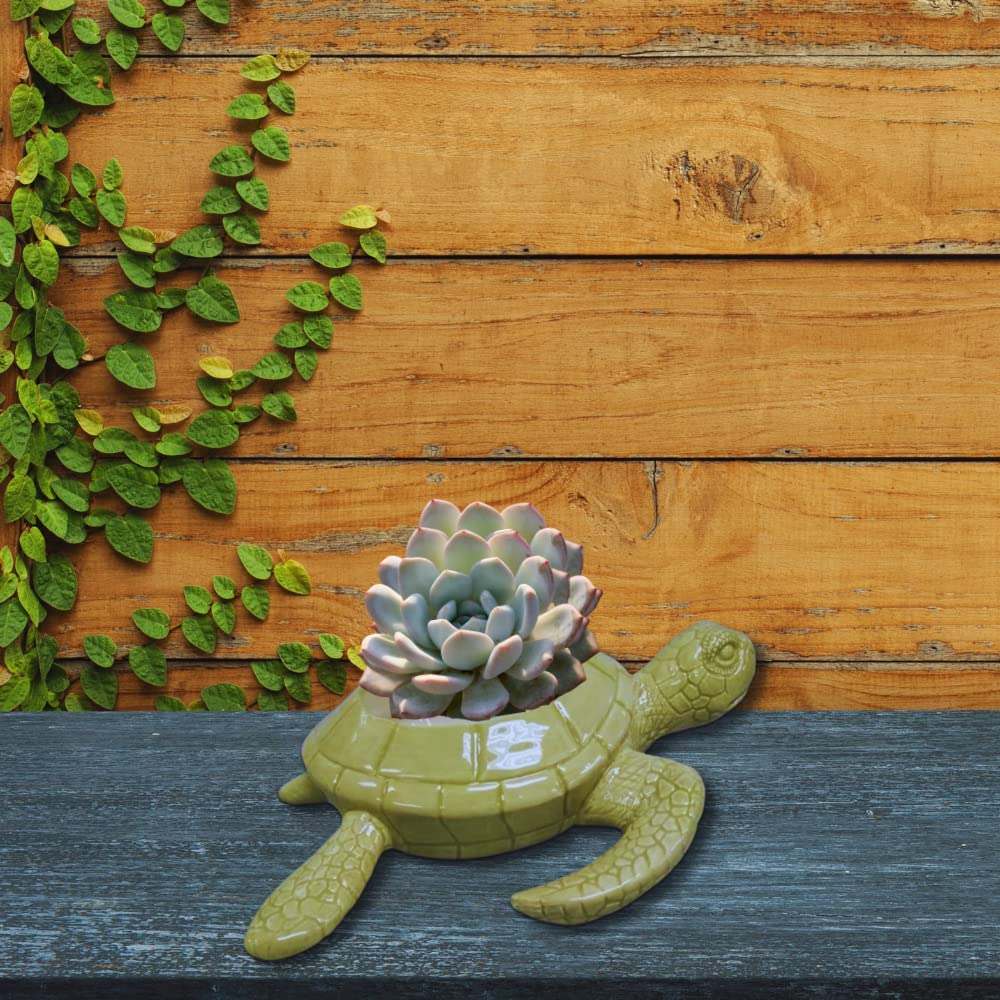 Landscape Timber Turtle Planter Pattern Planters – The Winfield