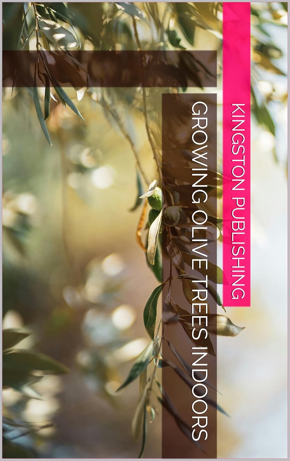 Amazon.com: Growing Olive Trees Indoors (Fruit Trees for Apartments ...