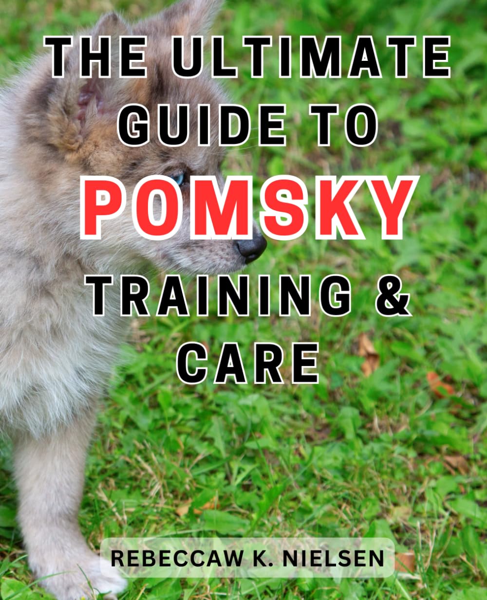 The Ultimate Guide to Pomsky Training & Care: Mastering Effective ...