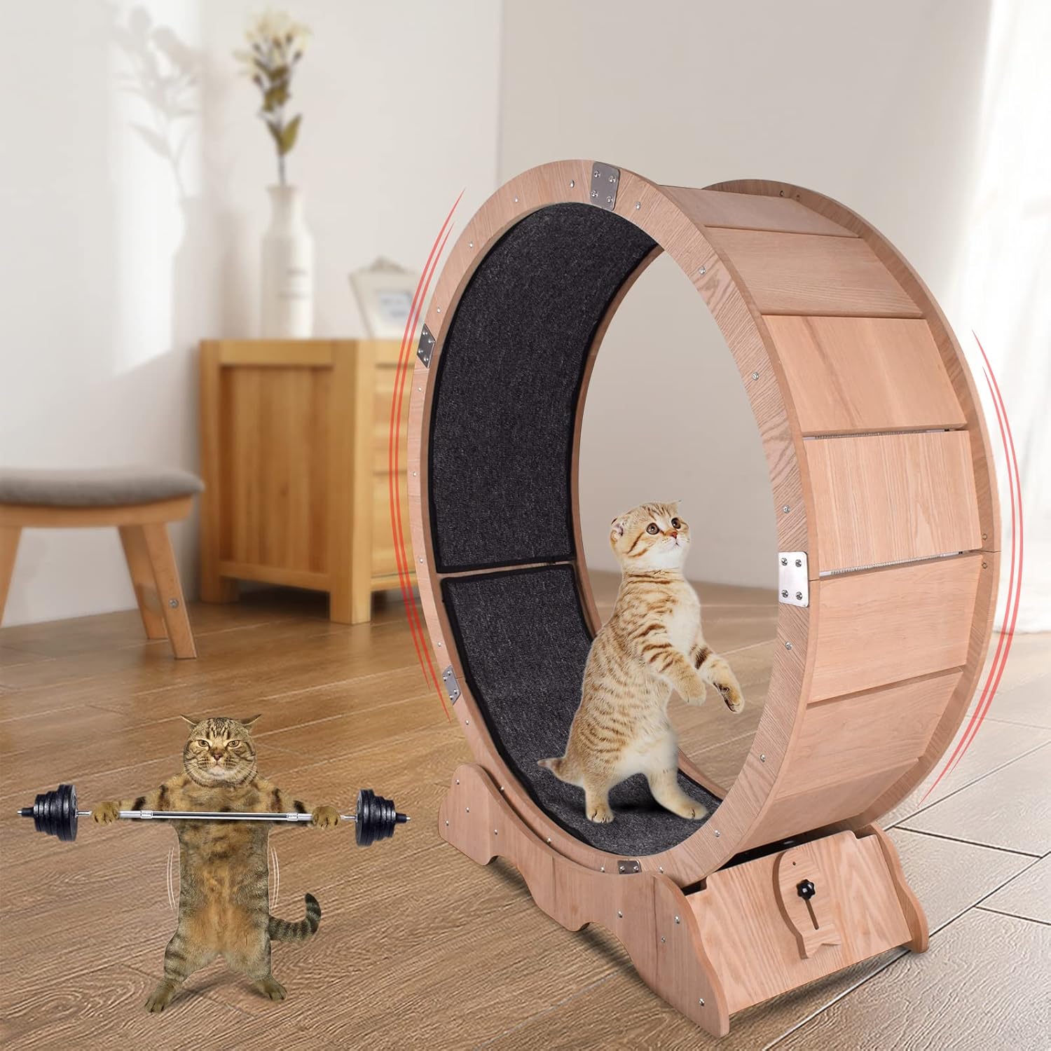 Amazon.com: GinSent Cat Wheel,Large Cat Exercise Wheel,Natural Wooden ...