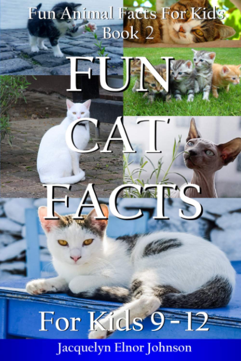 Fun Cat Facts For Kids 9 – 12 (Fun Animal Facts for Kids ...