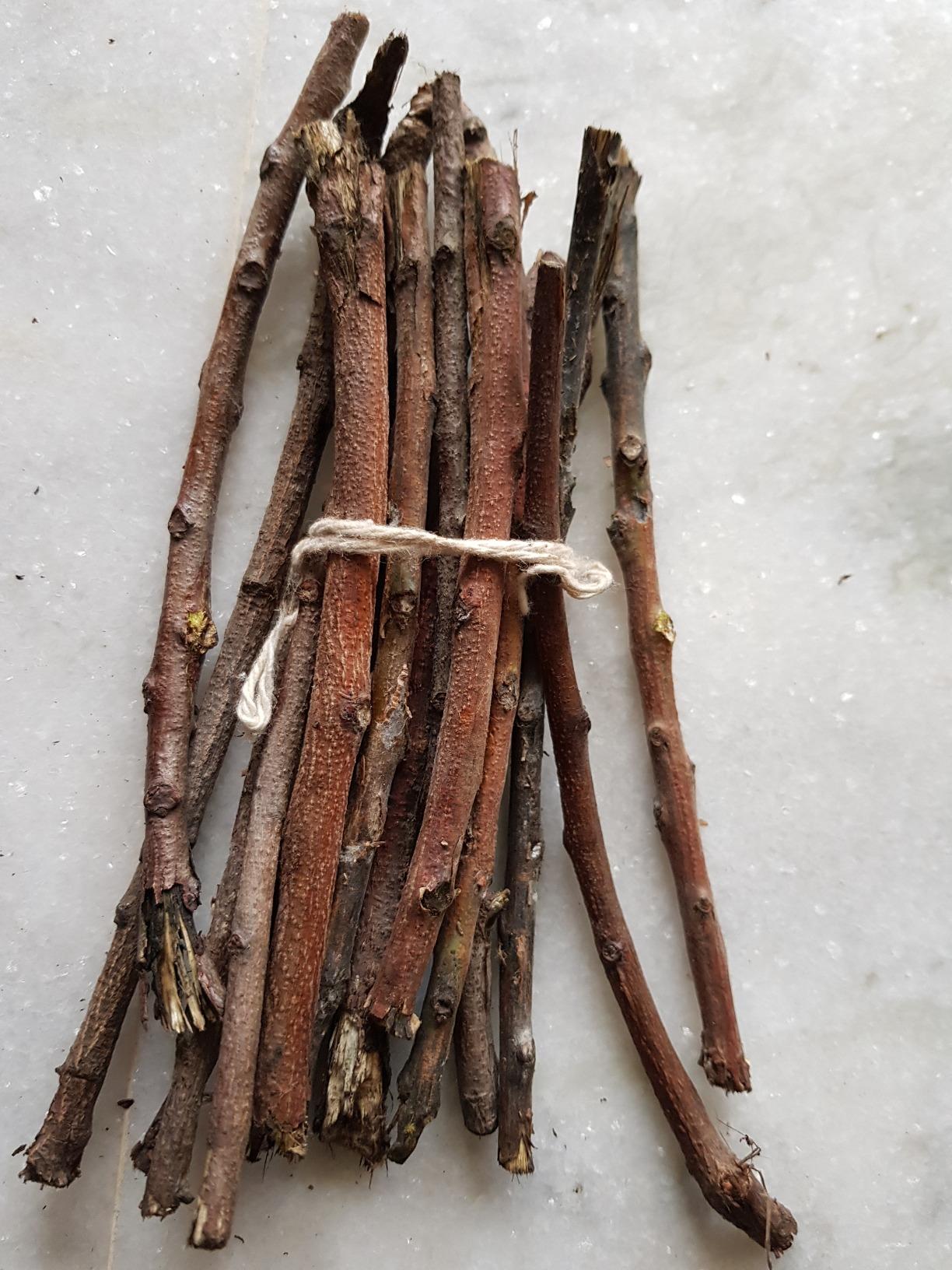 Lata | Neem - Datun|Twig|Datwan|Stick | 15 Pcs. : Amazon.in: Garden ...