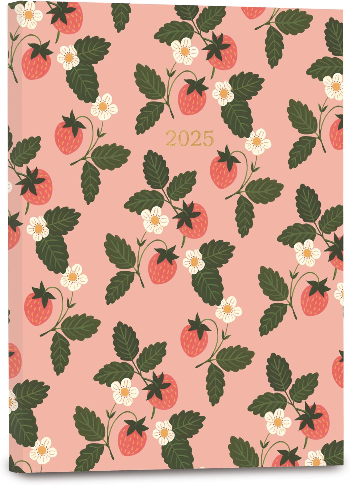 Amazon.com : High Note 17-Month Planner August 2023-December 2024 ...