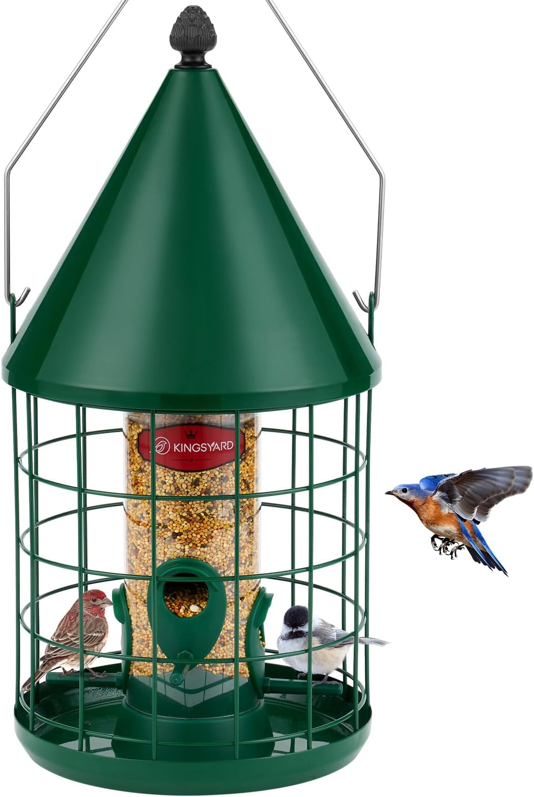 Amazon.com : Caged Bird Feeders Squirrel-Proof, Metal, 2.8 Lbs Capacity ...