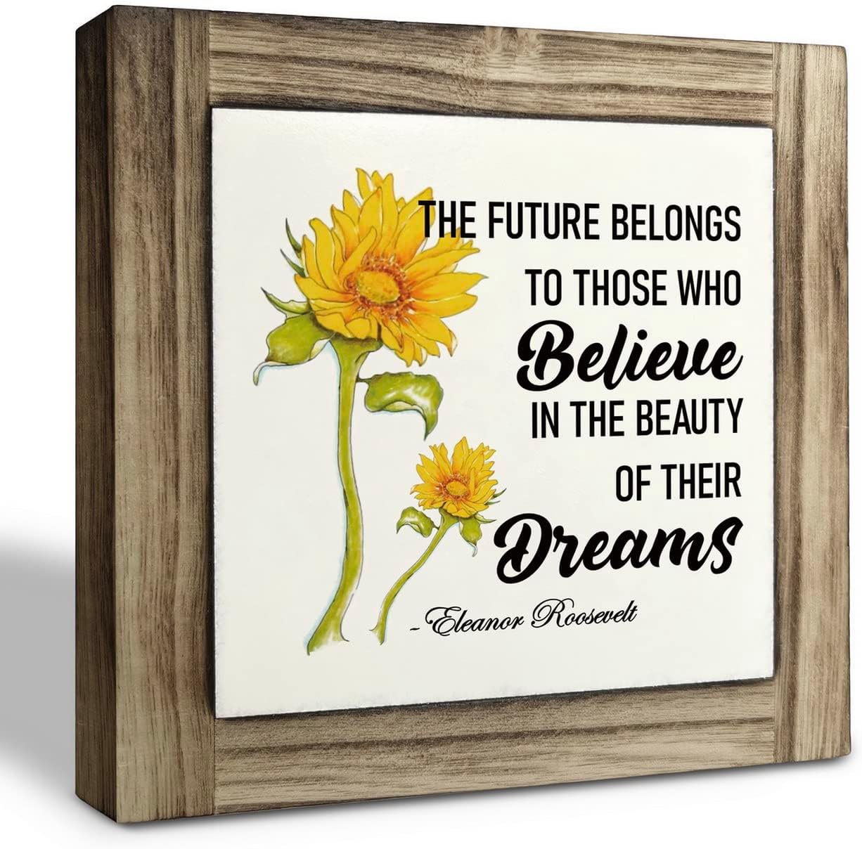 Amazon.com: Inspirational Quote Wood Plaque Sign, Eleanor Roosevelt ...