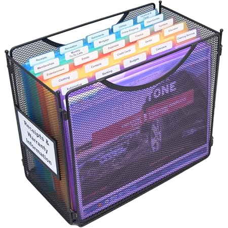 Amazon.com: Ultimate Office Portable File Box Desktop Organizer Heavy ...