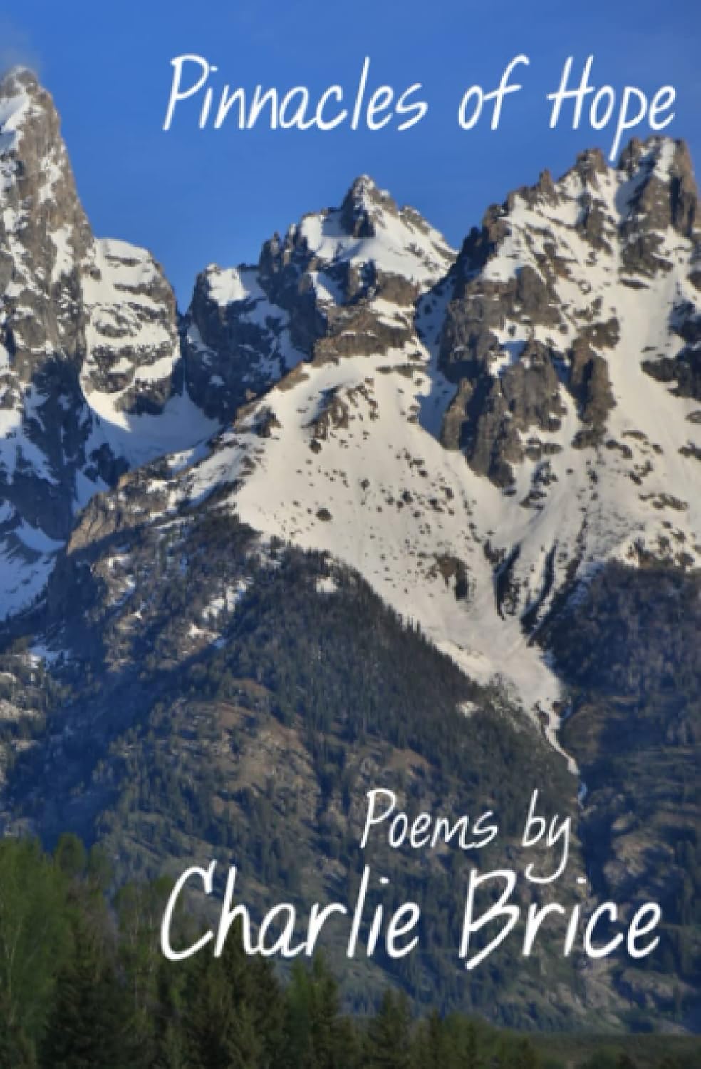 Pinnacles of Hope: Brice, Charlie: 9781915819031: Amazon.com: Books